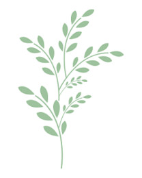 卡通植物矢量素材 包站长